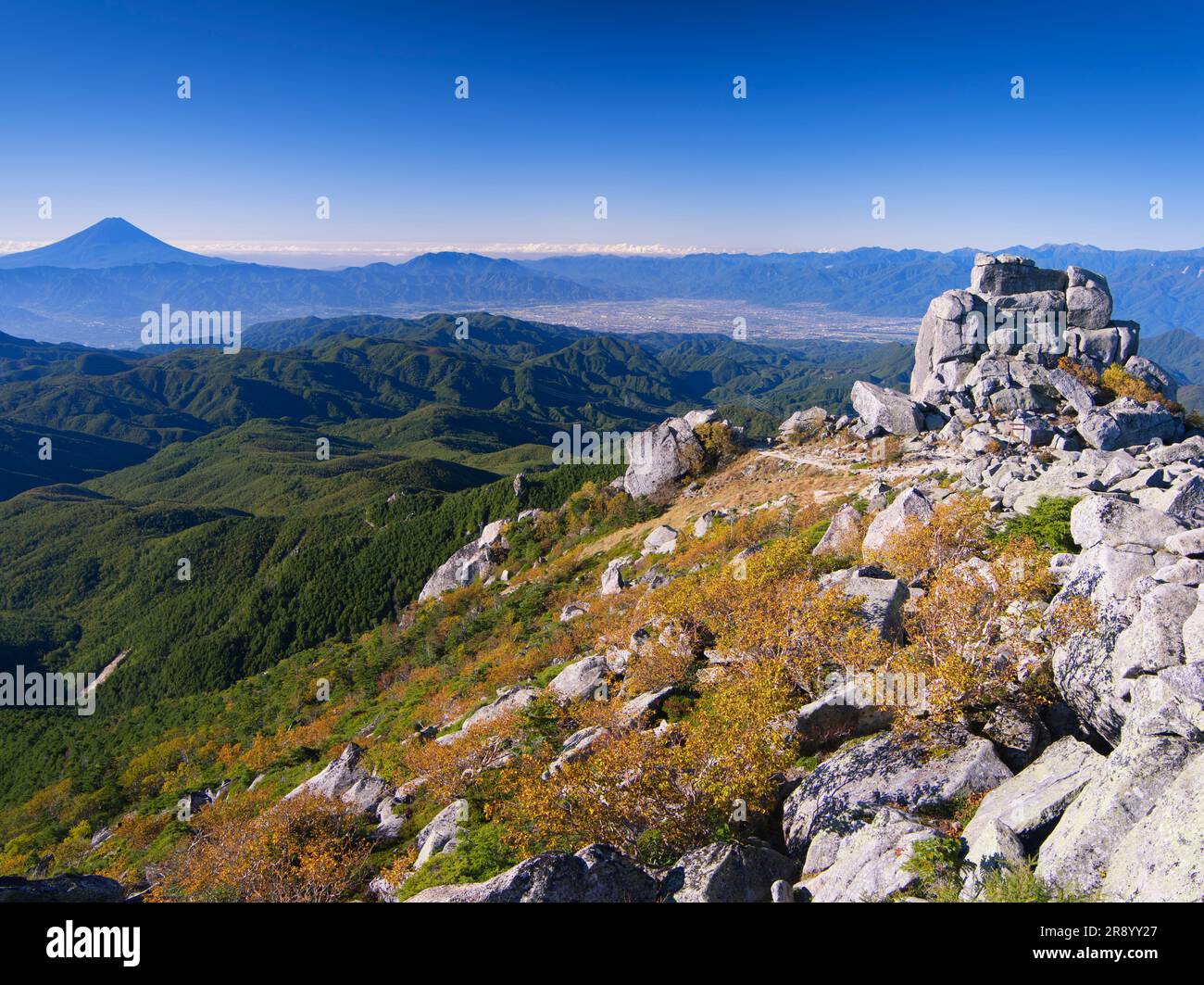 The yellow leaves of Gotakeiwa and Mount Fuji on Mount Kinpusan in the ...