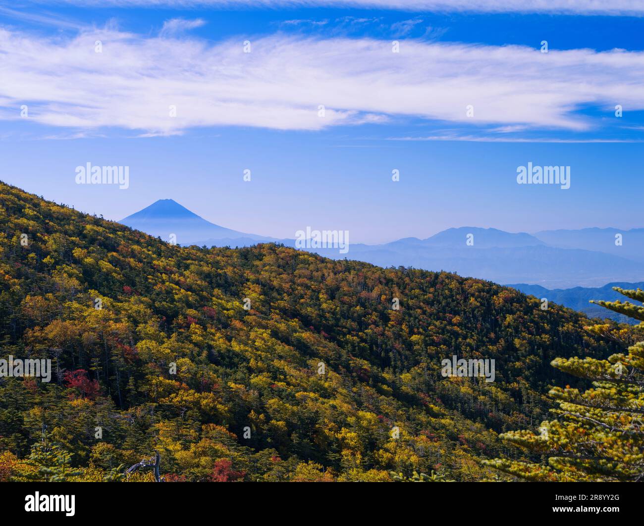 Autumn leaves and Mt, Fuji from Mt. Zenkokushigatake, Okuchichibu ...