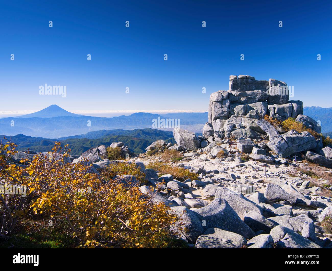 The yellow leaves of Gotakeiwa and Mount Fuji on Mount Kinpusan in the ...