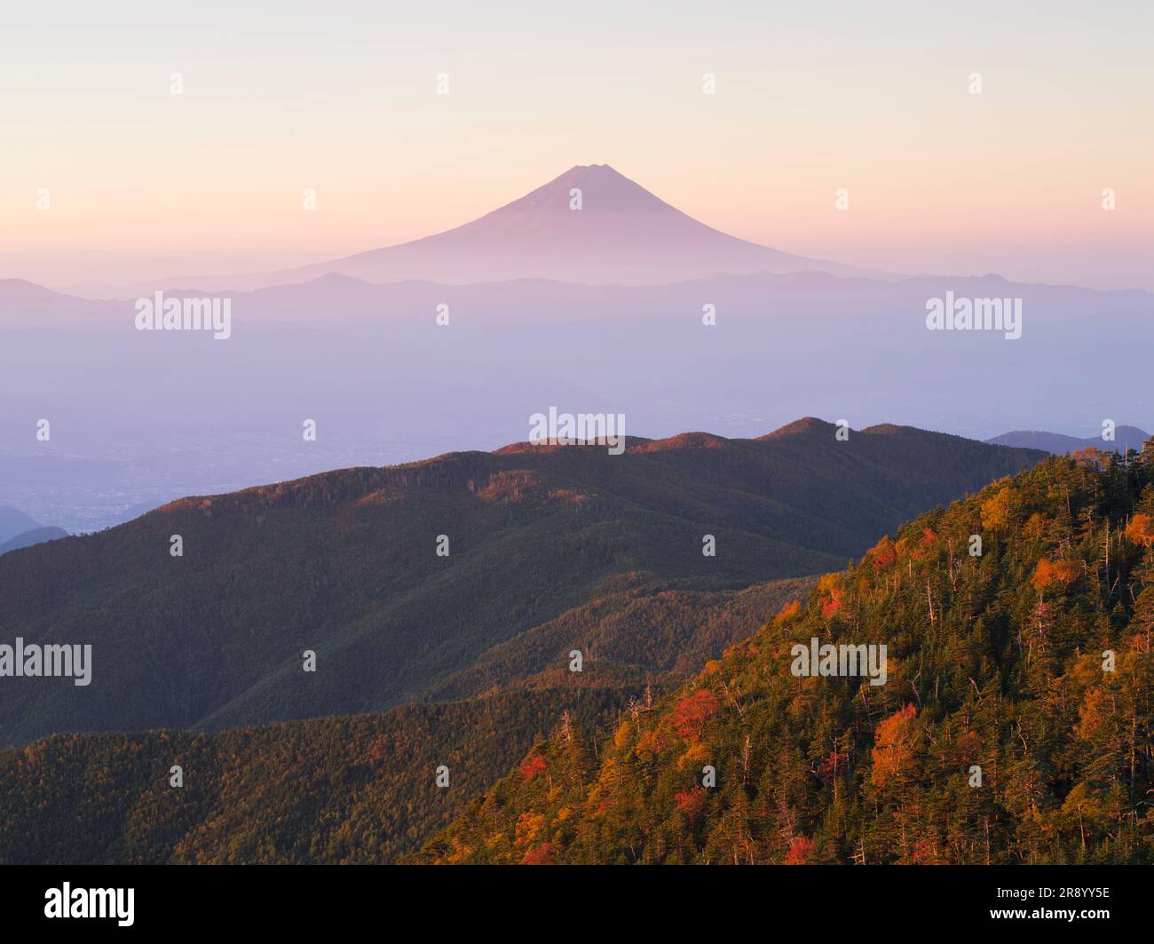 The morning view of autumn colors and Mount Fuji from Mount ...