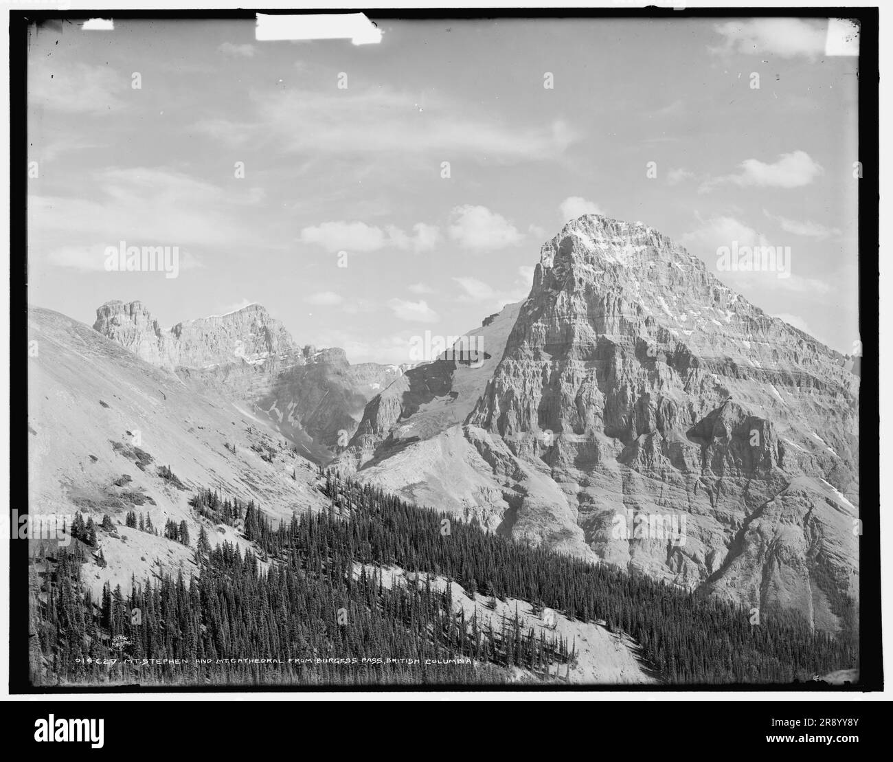 Mt. Stephen and Mt. Cathedral from Burgess Pass, British Columbia ...
