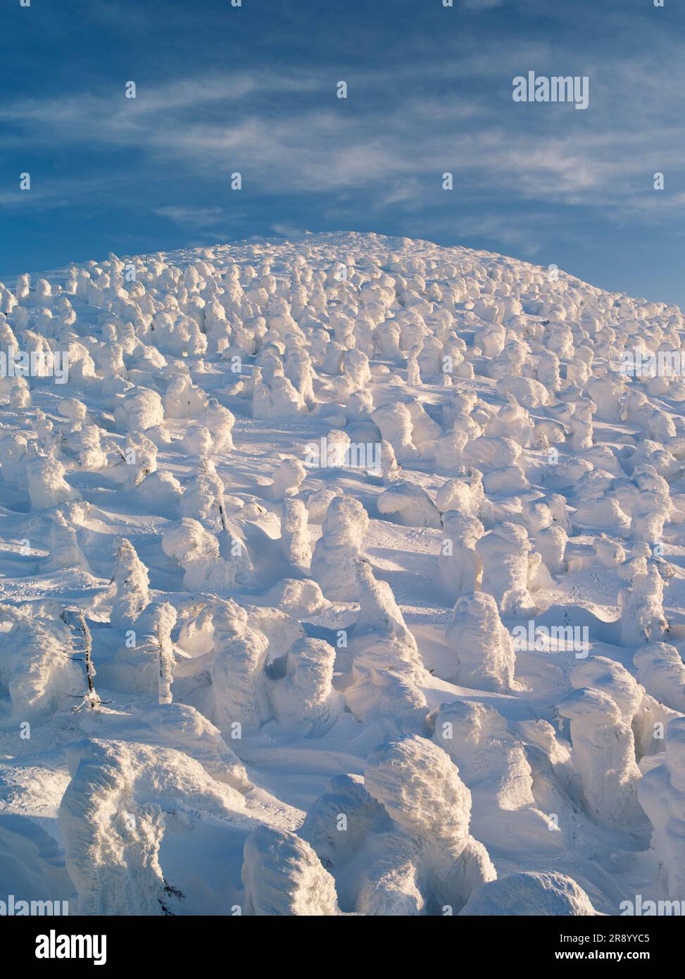 Zaoh hi-res stock photography and images - Alamy