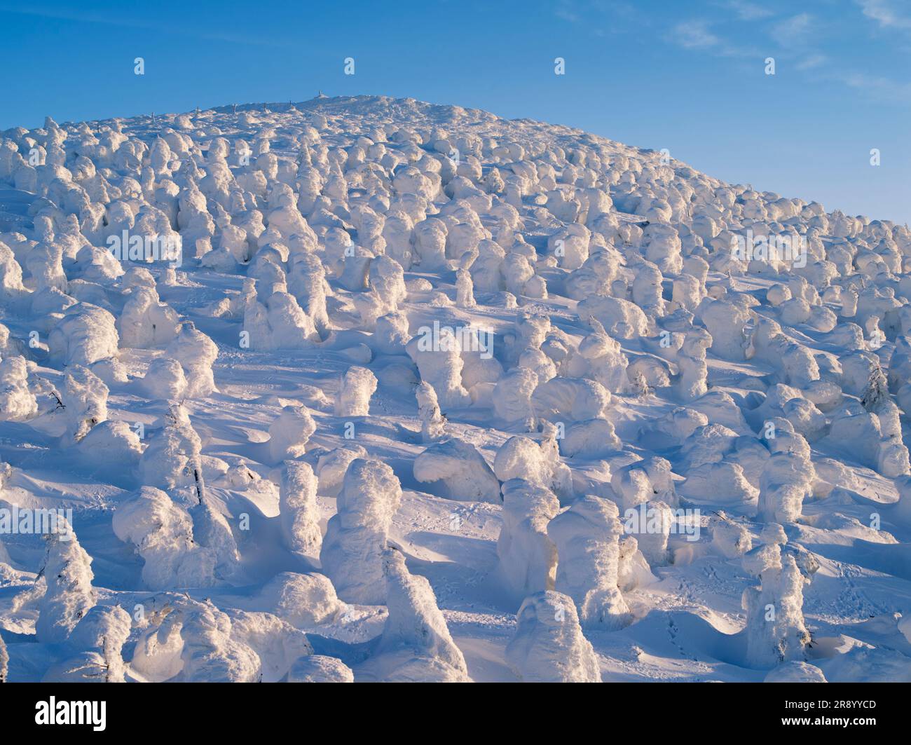 Zaoh hi-res stock photography and images - Alamy