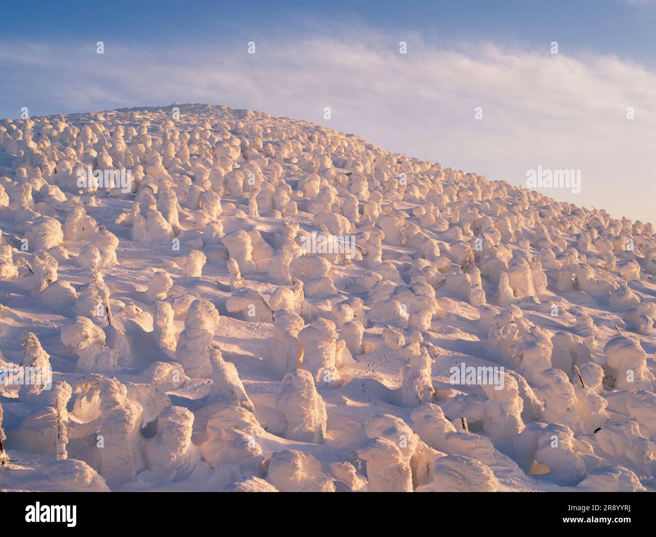 Zaoh hi-res stock photography and images - Alamy