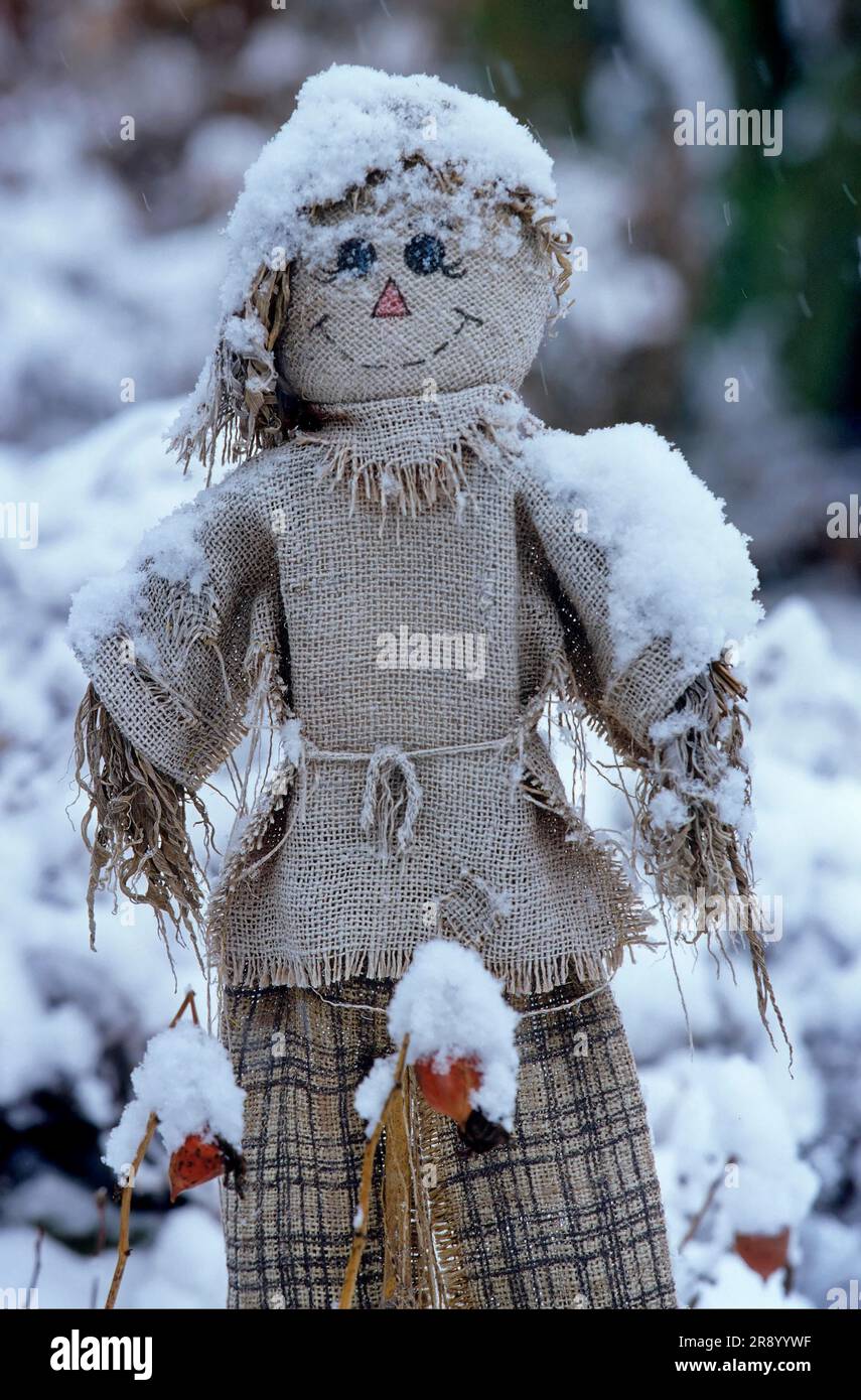 Scarecrow snow hi-res stock photography and images - Alamy