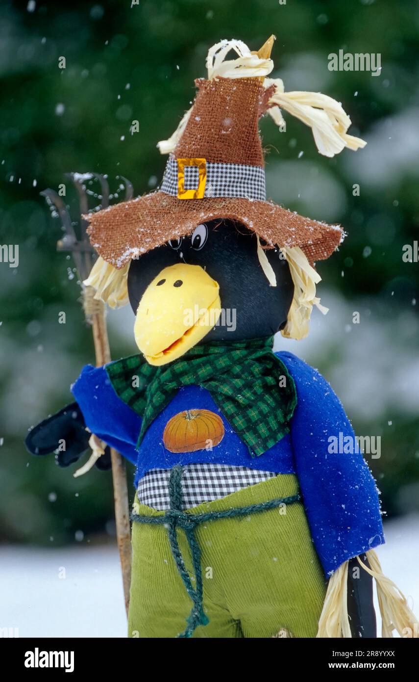 Scarecrow in winter Stock Photo - Alamy