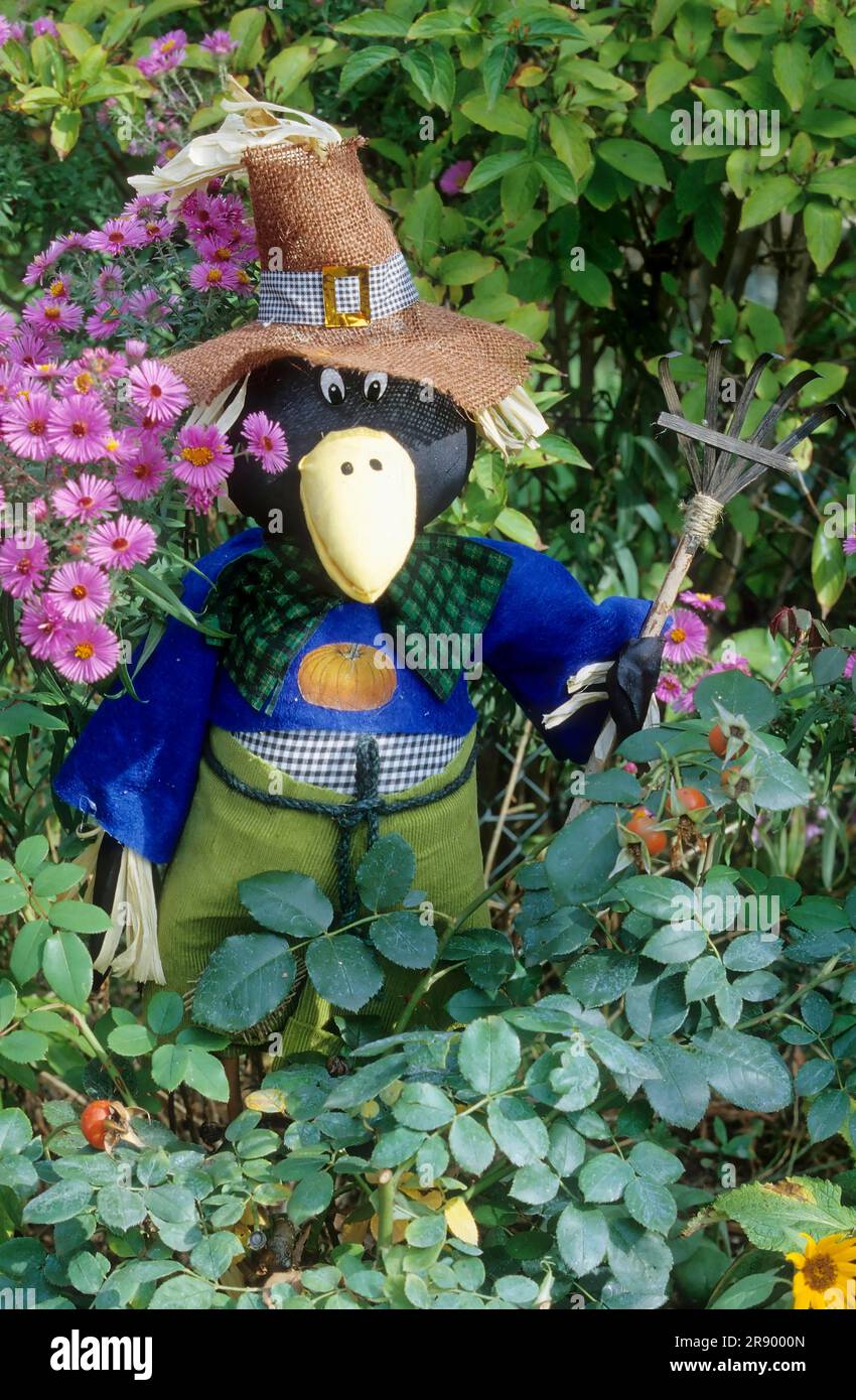 Scarecrow in the garden Stock Photo - Alamy