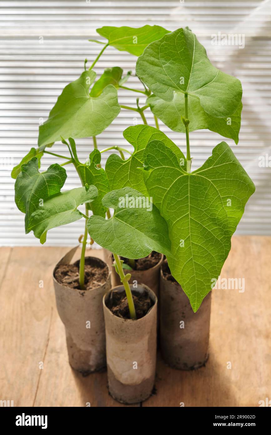 Recycling containers sustainability hi-res stock photography and images ...