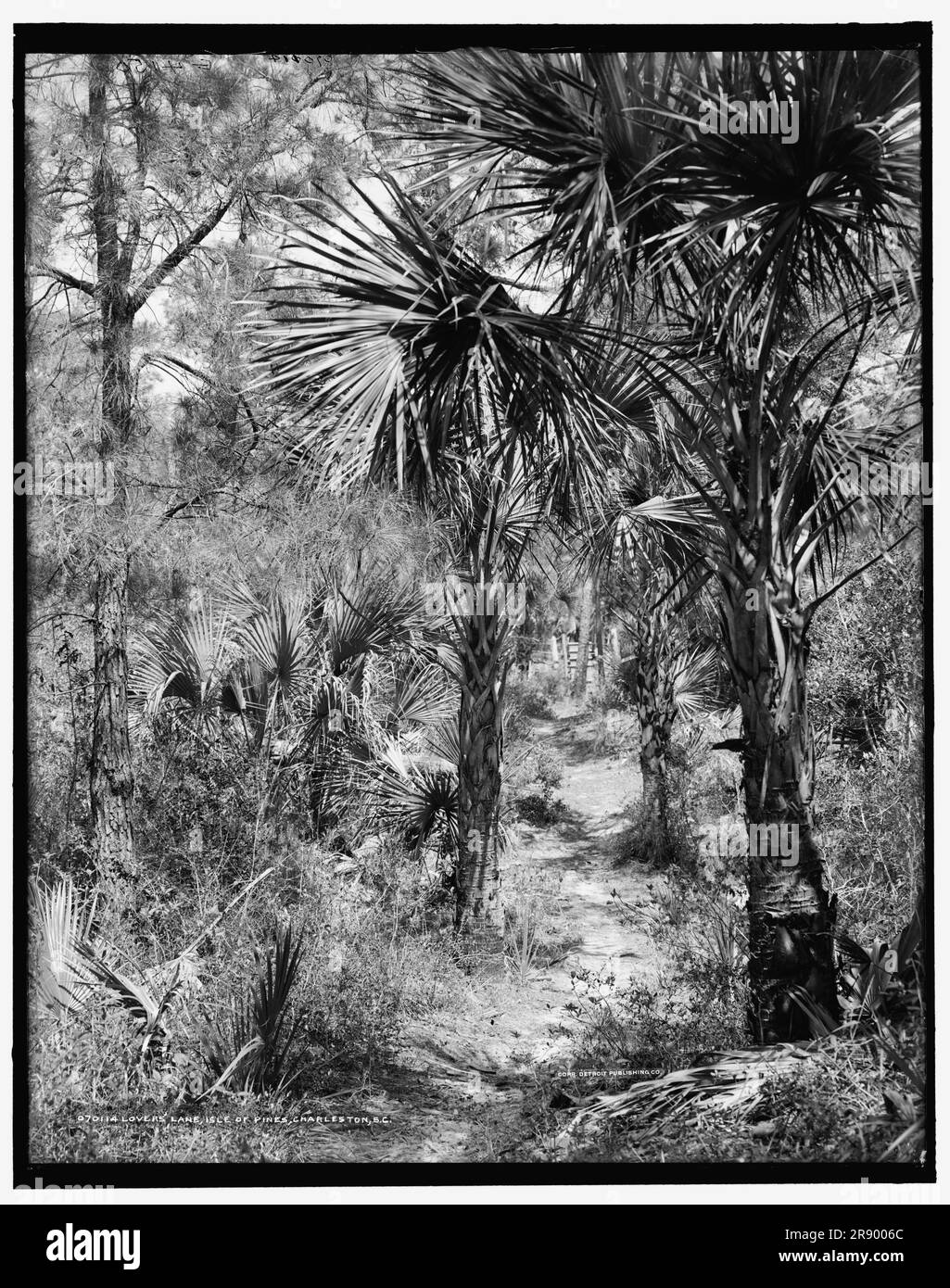 Charleston heritage Cut Out Stock Images & Pictures - Alamy