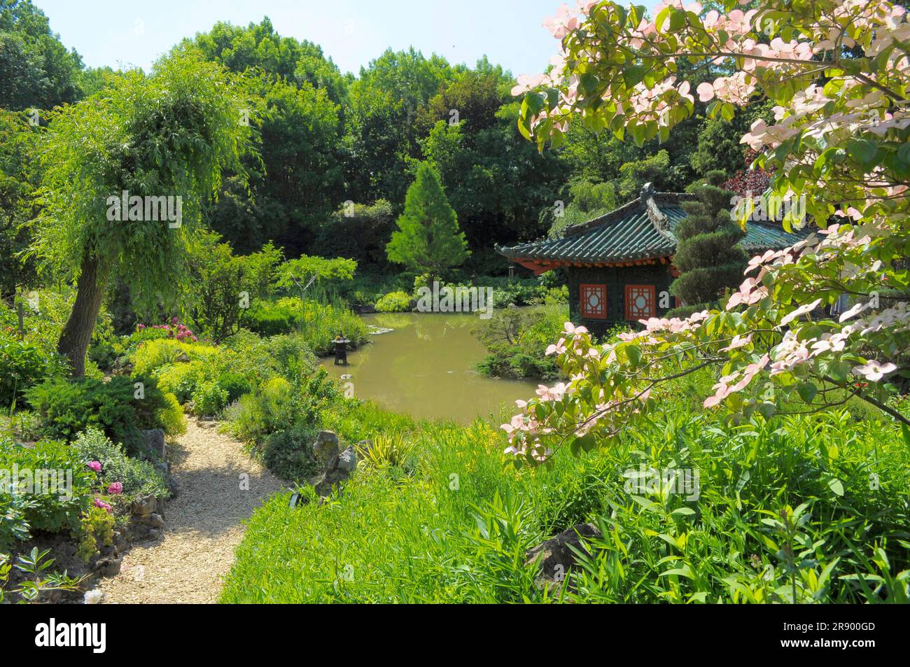Central asian tea house hi-res stock photography and images - Alamy
