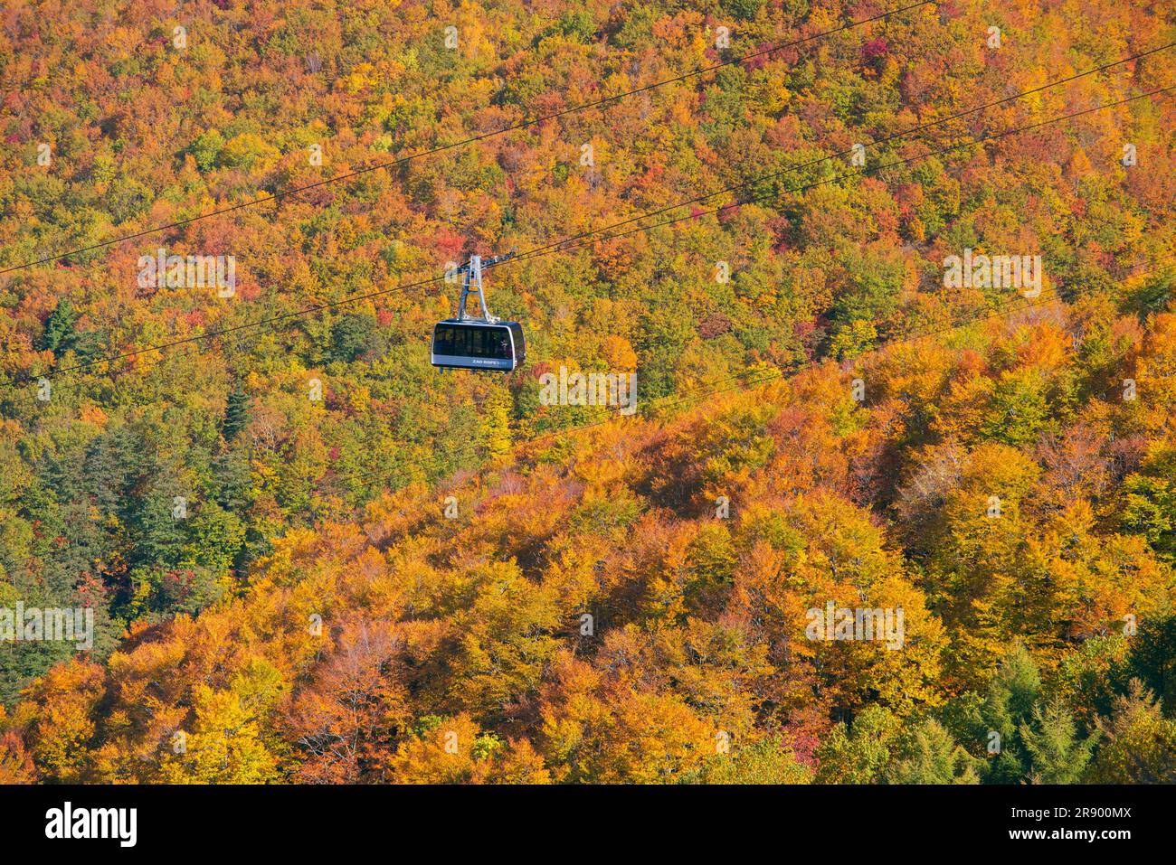 Zao Ropeway in Autumn Leaves Stock Photo - Alamy