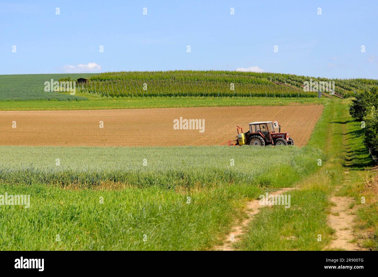 Fields and vineyard landscape with tractor Stock Photo - Alamy