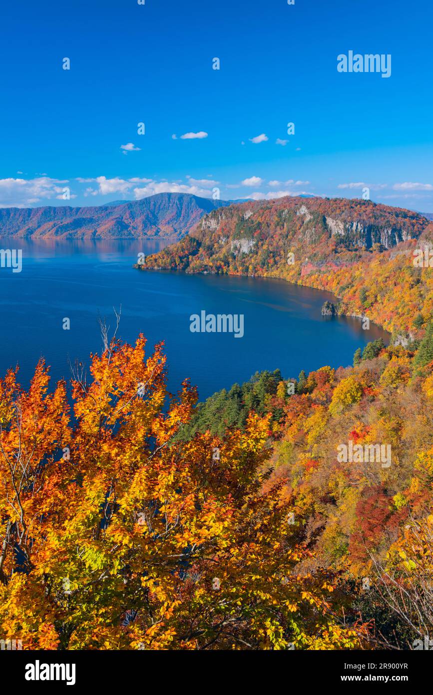 Lake Towada surrounded by autumn trees Stock Photo - Alamy