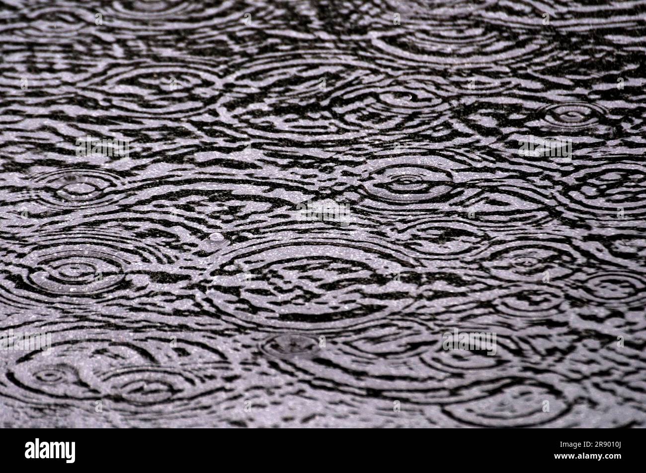 Air bubbles during rain in the pond, Heavy rain in the pond Stock Photo ...