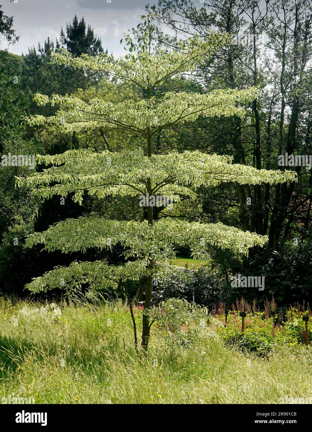 Holehird gardens windermere lake district hi-res stock photography and ...
