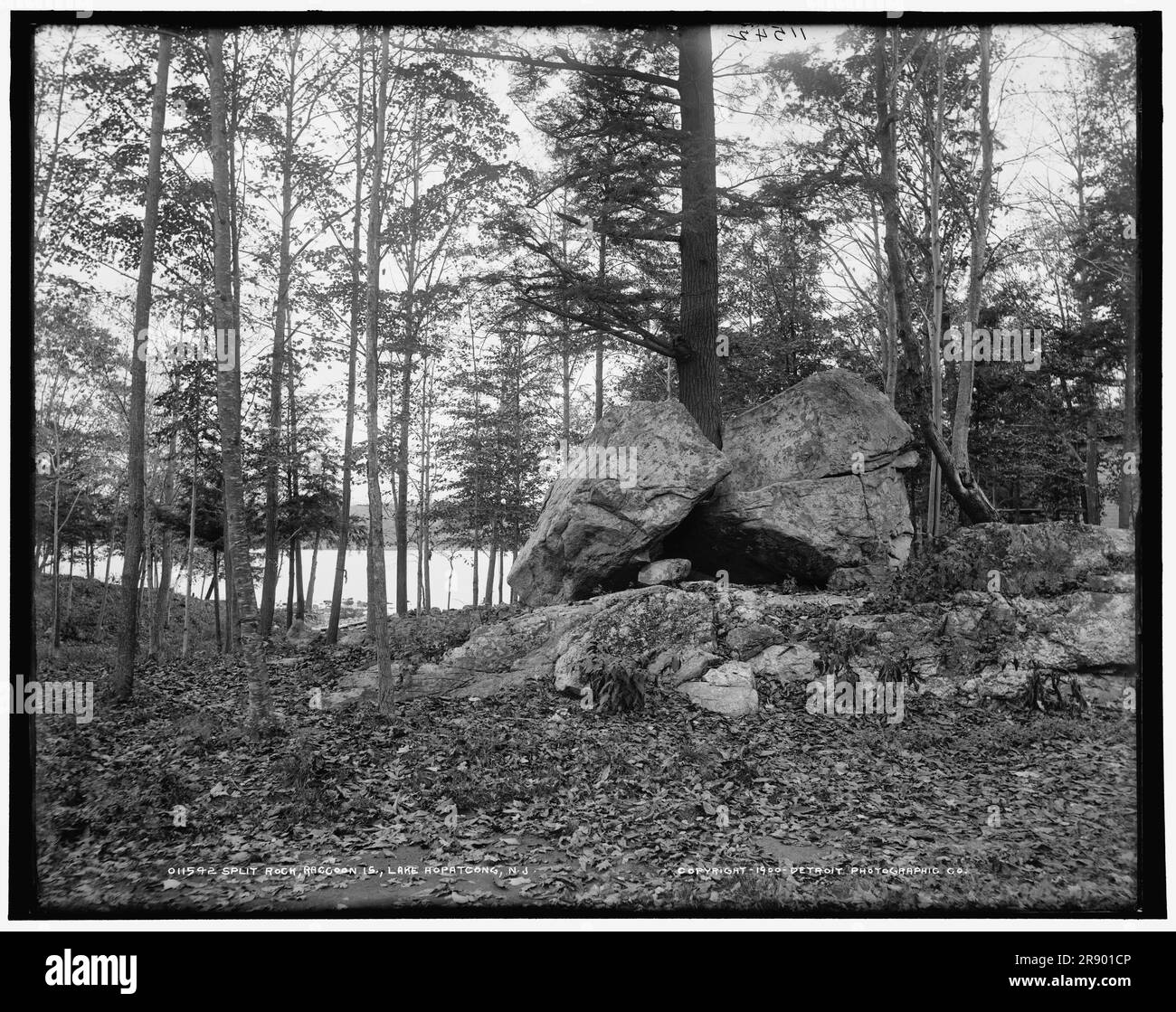 Rock island tree in Cut Out Stock Images & Pictures - Alamy