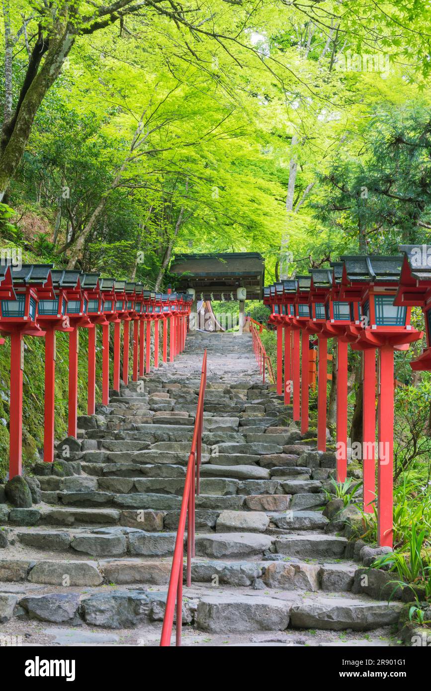 The approach to Kibune Shrine in fresh green Stock Photo - Alamy