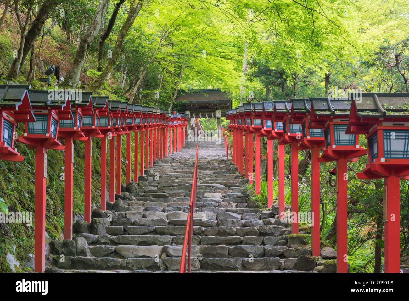 The approach to Kibune Shrine in fresh green Stock Photo - Alamy