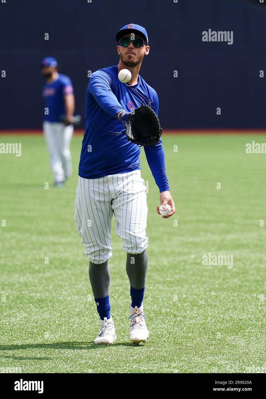 Chicago Cubs' Cody Bellinger in action during a workout day ahead of ...