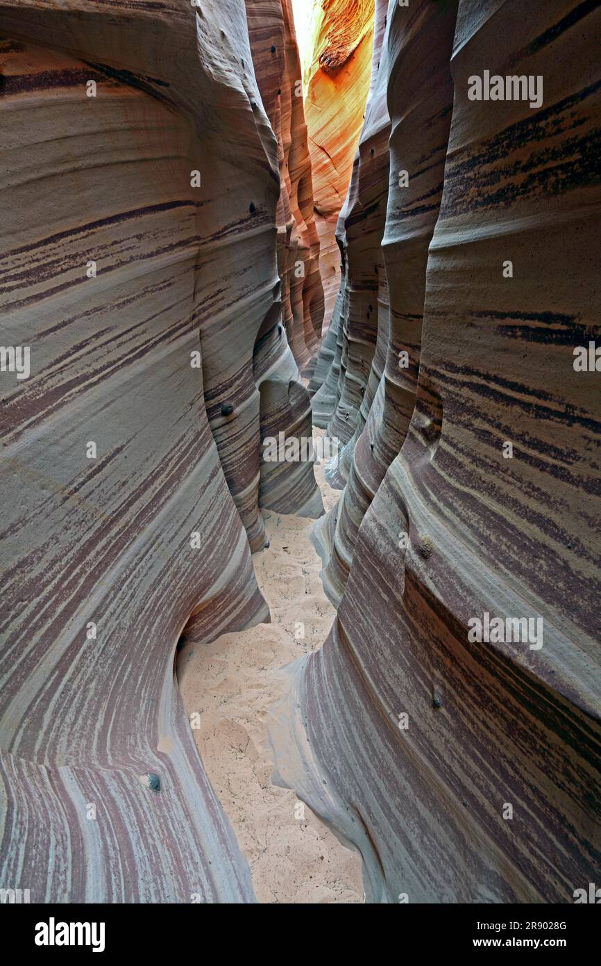 Zebra Slot, Grand Staircase Escalante National Monument, Utah, USA ...