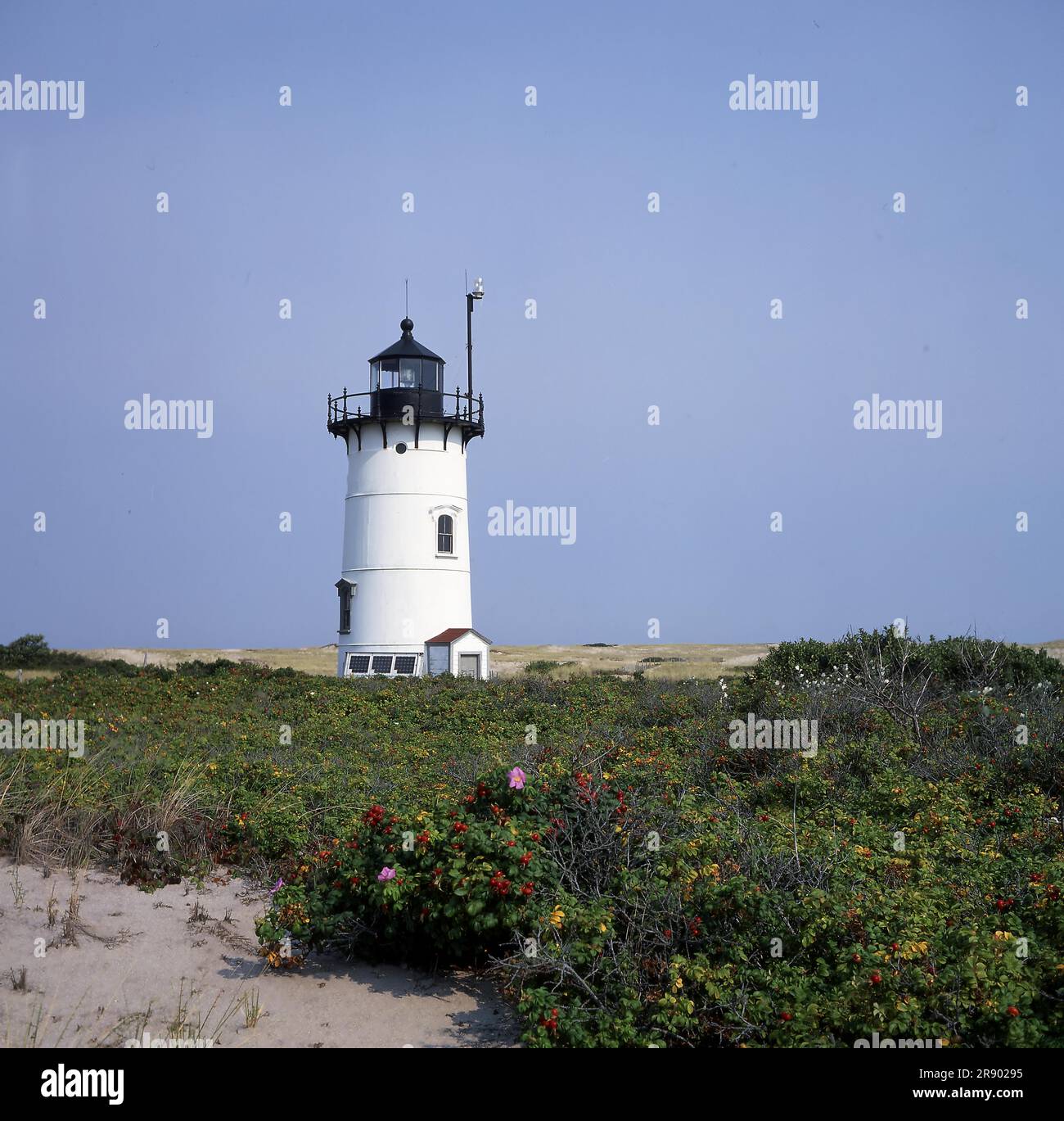 Race Point Light, BJ 1816, Provincetown, Massachusetts, USA Stock Photo ...