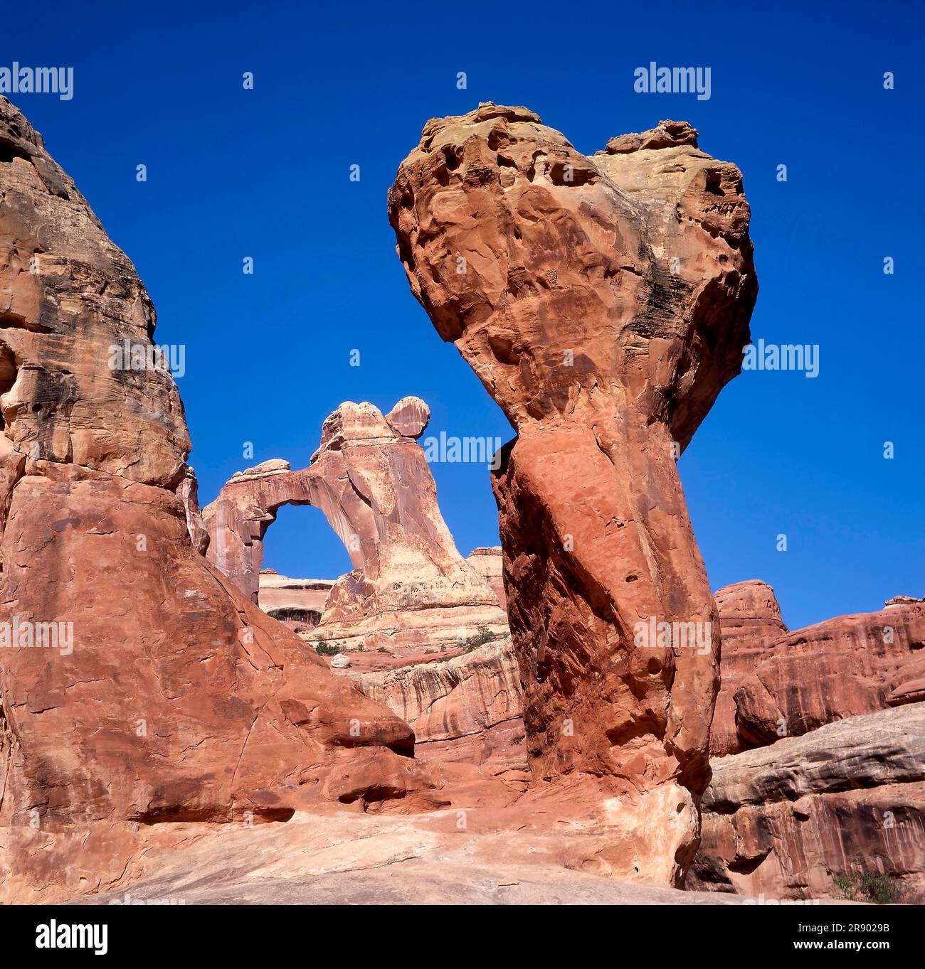 Angel the world hi-res stock photography and images - Alamy