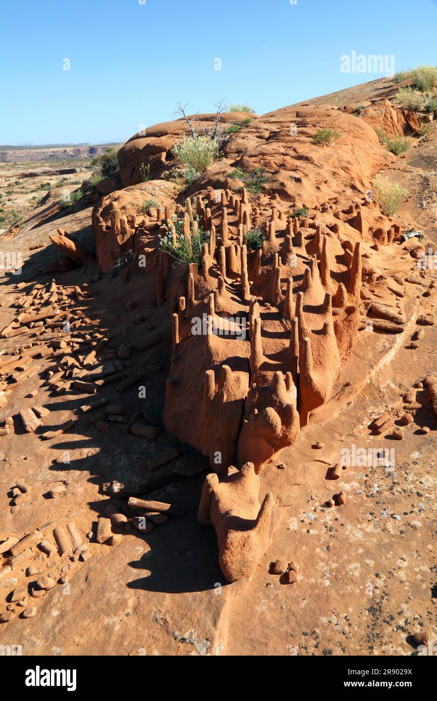 Crocodile Rock, bin Green River, UT, USA Stock Photo - Alamy