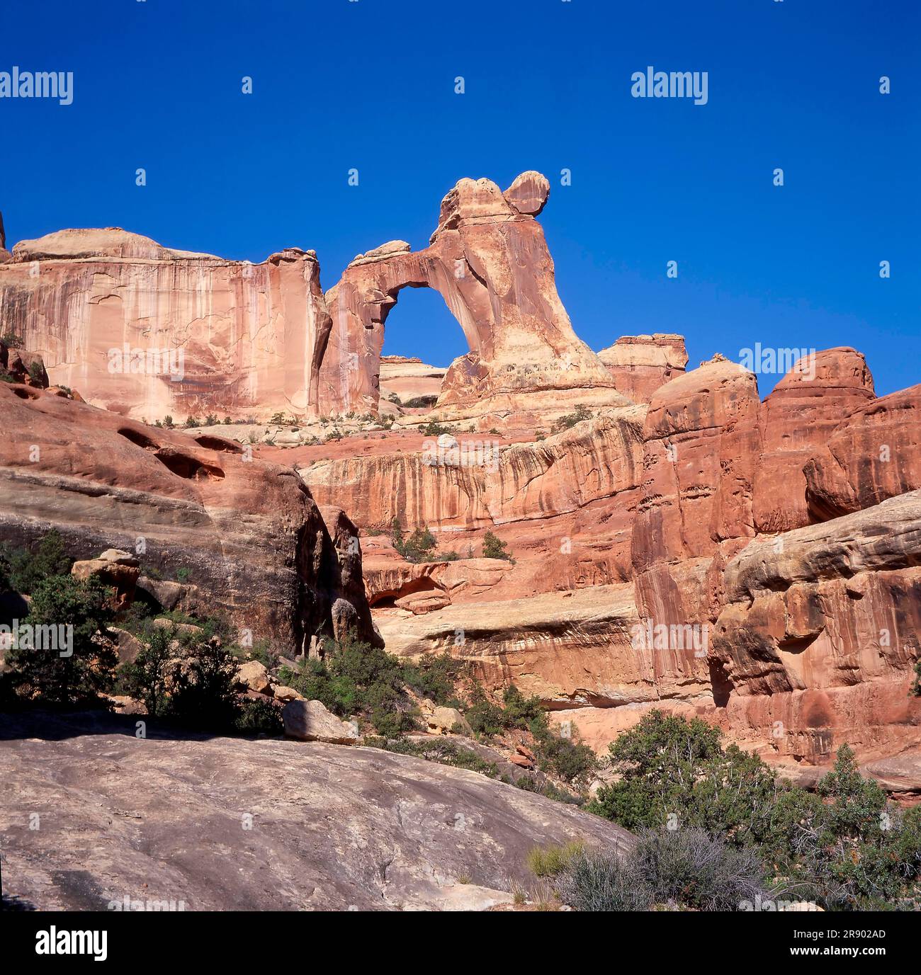 Angel arch canyonlands national park hi-res stock photography and ...