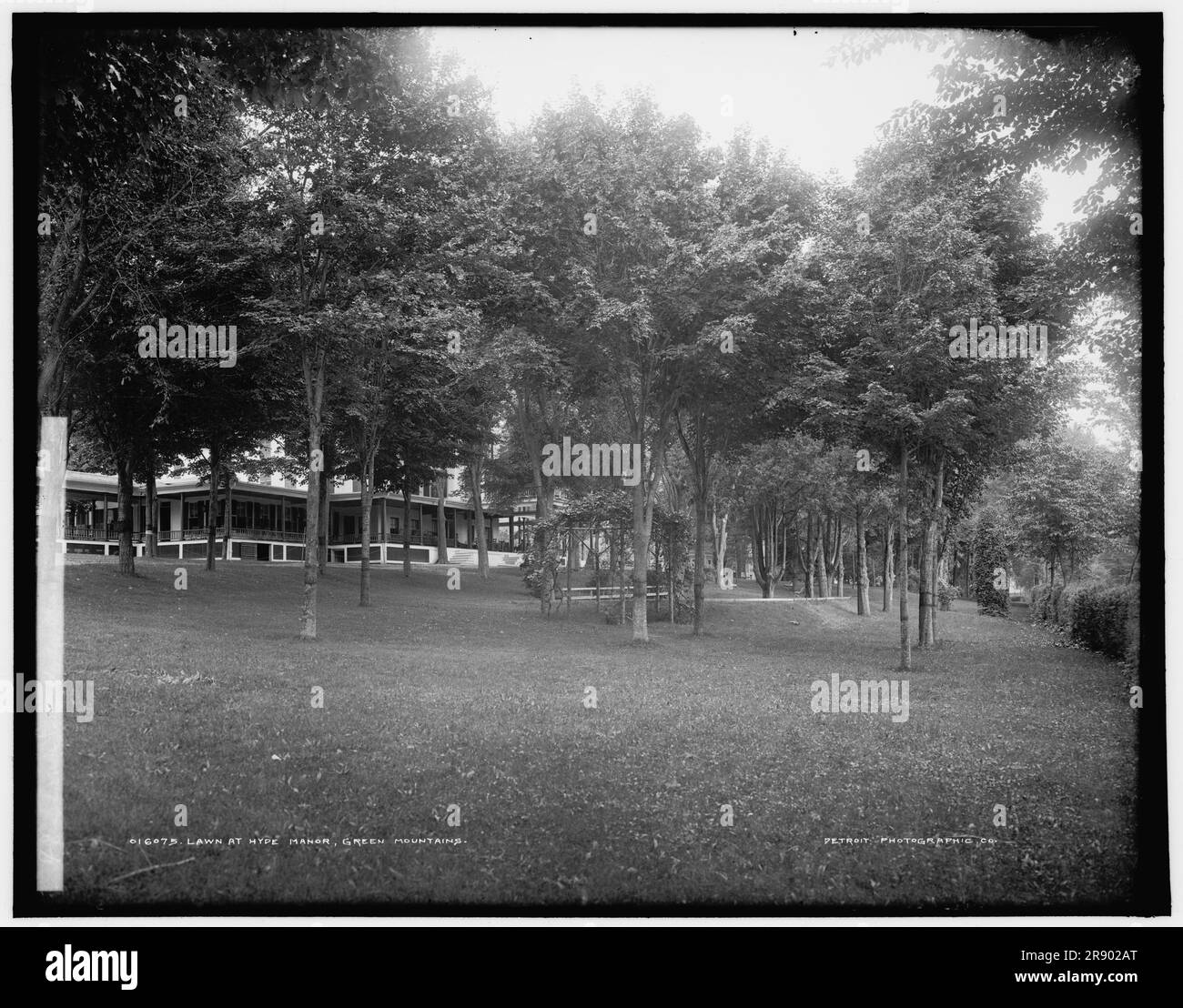 Playground between two trees hi-res stock photography and images - Alamy