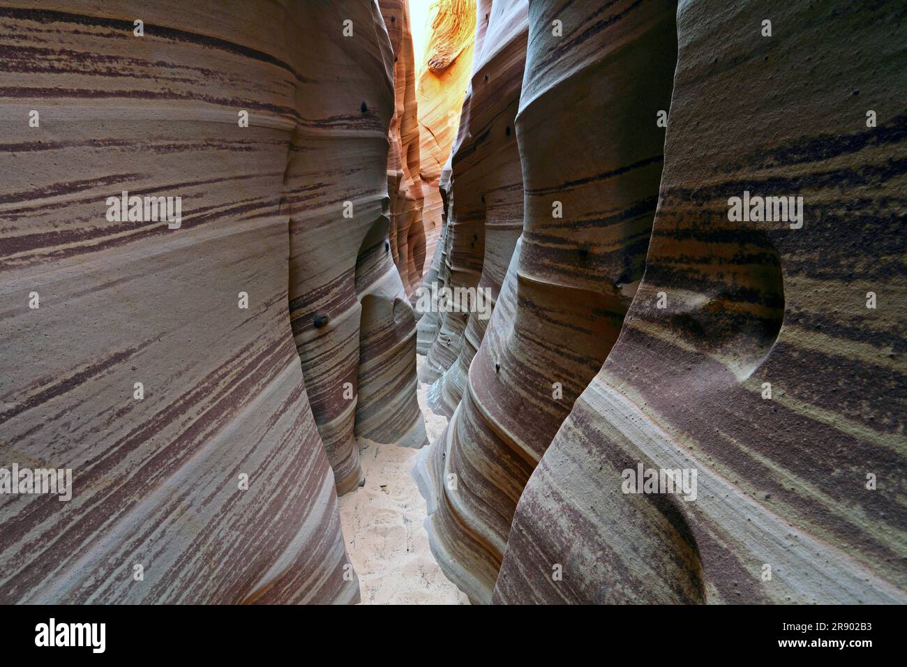 Zebra Slot, Grand Staircase Escalante National Monument, Utah, USA ...