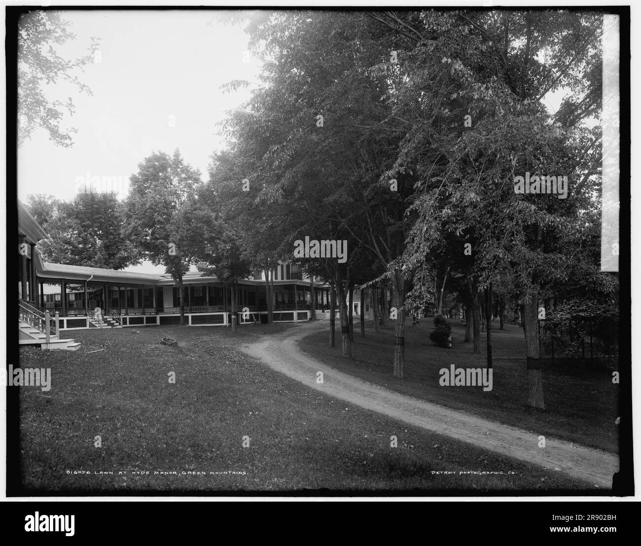 Two tree in green Black and White Stock Photos & Images - Alamy