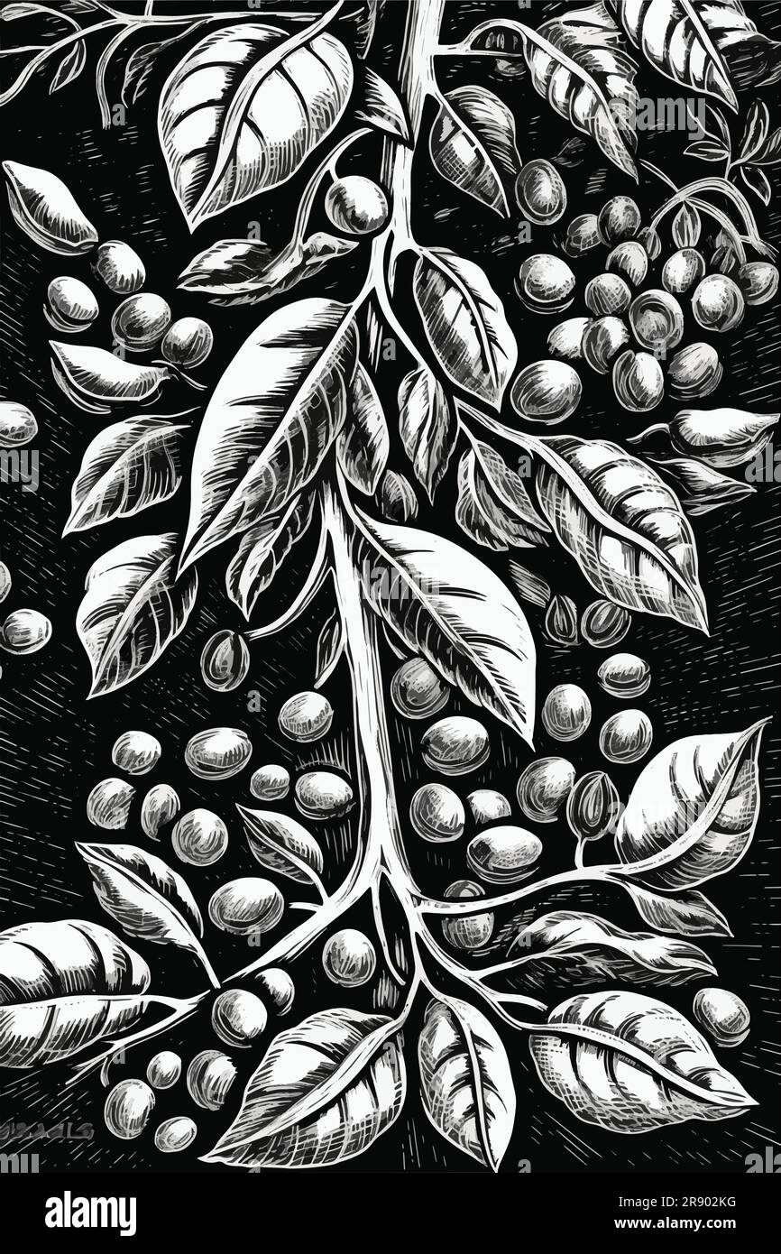 Vector set of coffee tree branches with flower, leaves and beans ...