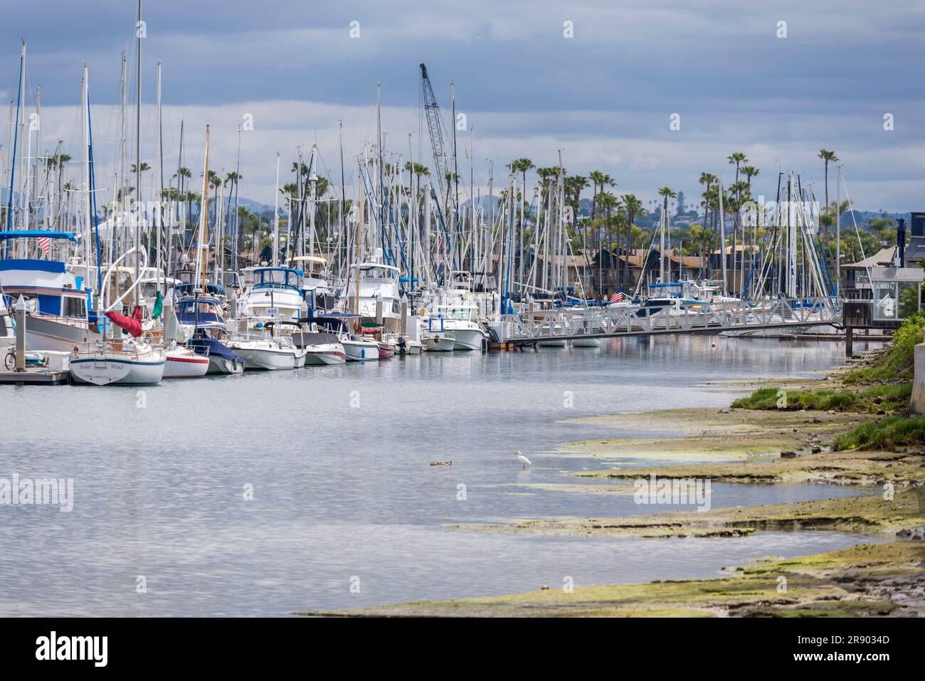San Diego Harbor boat marina in the Shelter Island Shoreline Park area ...