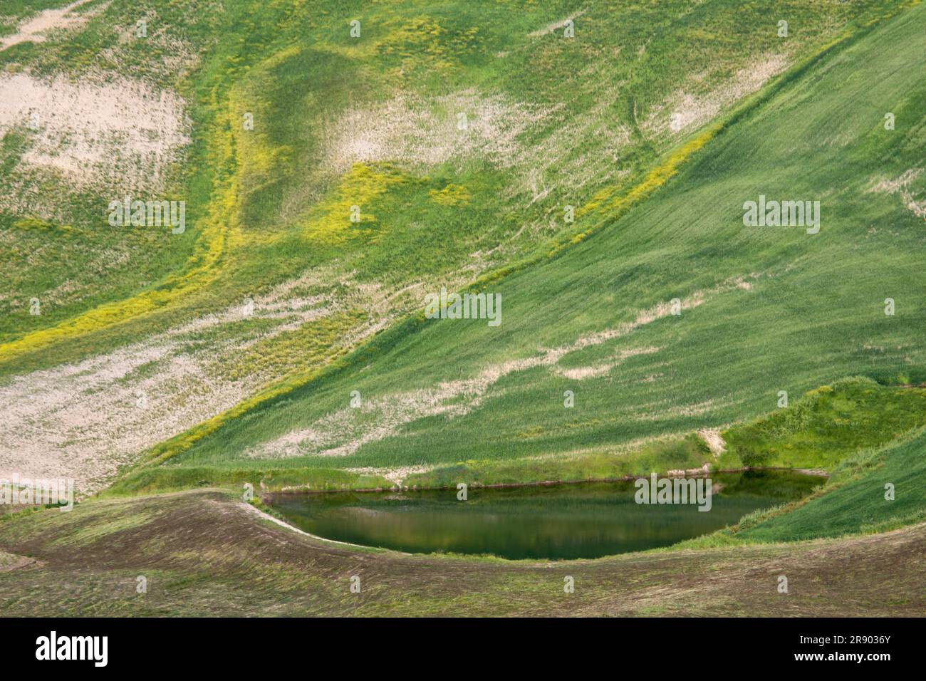 Waterhole hill hi-res stock photography and images - Alamy