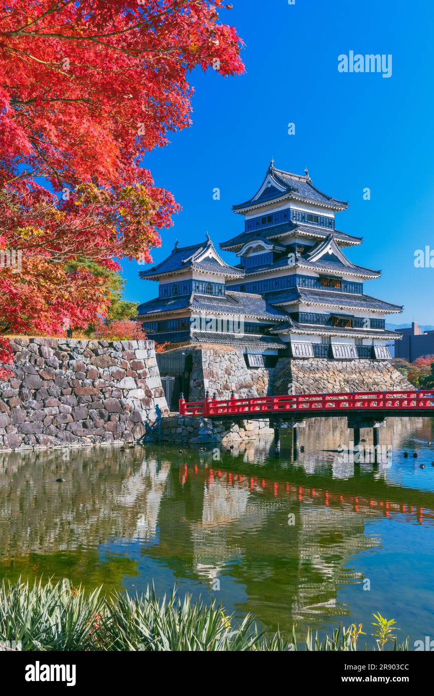 Matsumoto Castle in Autumn Leaves Stock Photo - Alamy