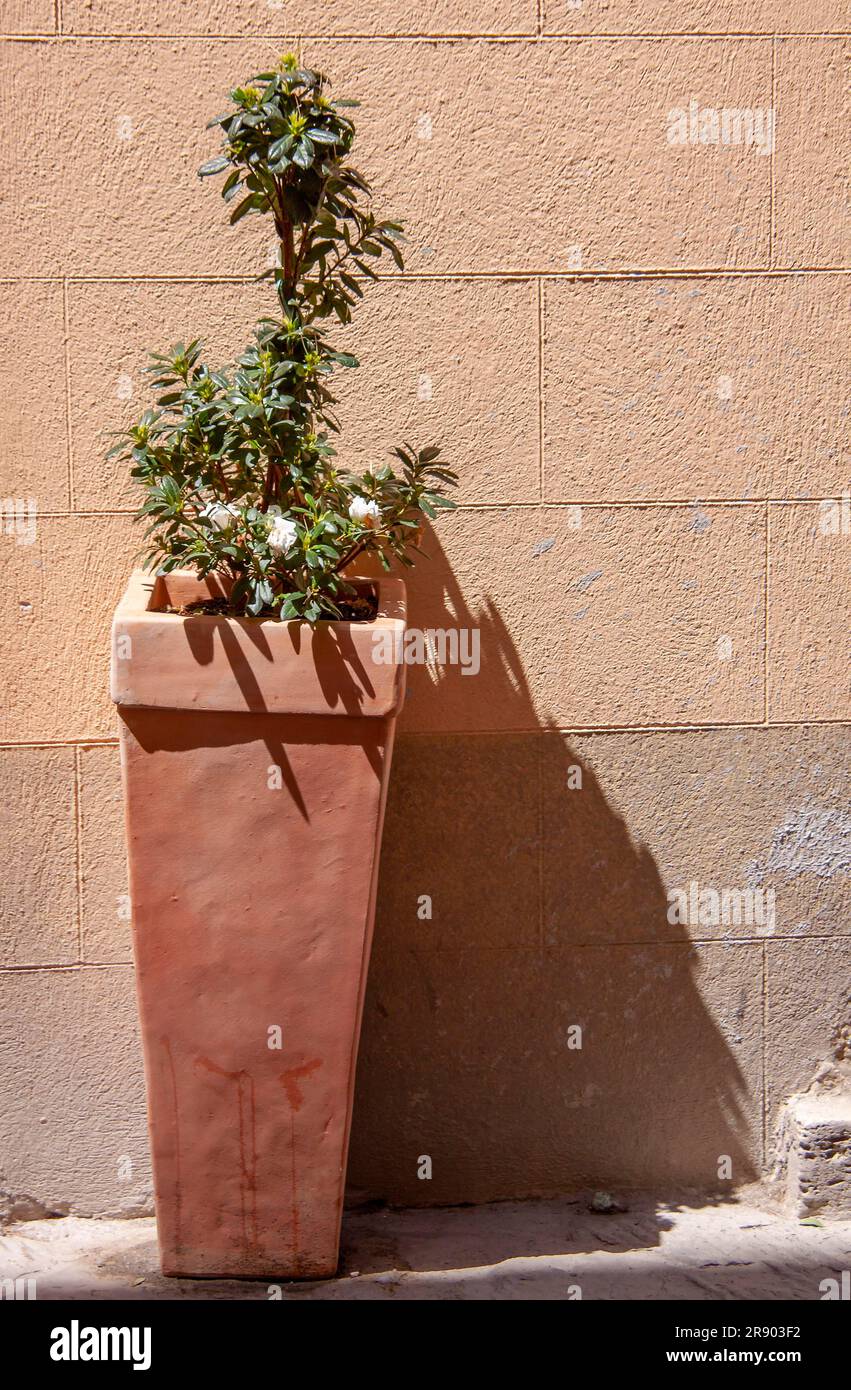 House facade with flower pot Stock Photo - Alamy