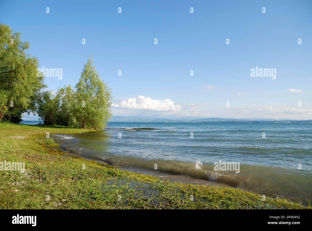 Lake Bodensee in Germany Stock Photo - Alamy