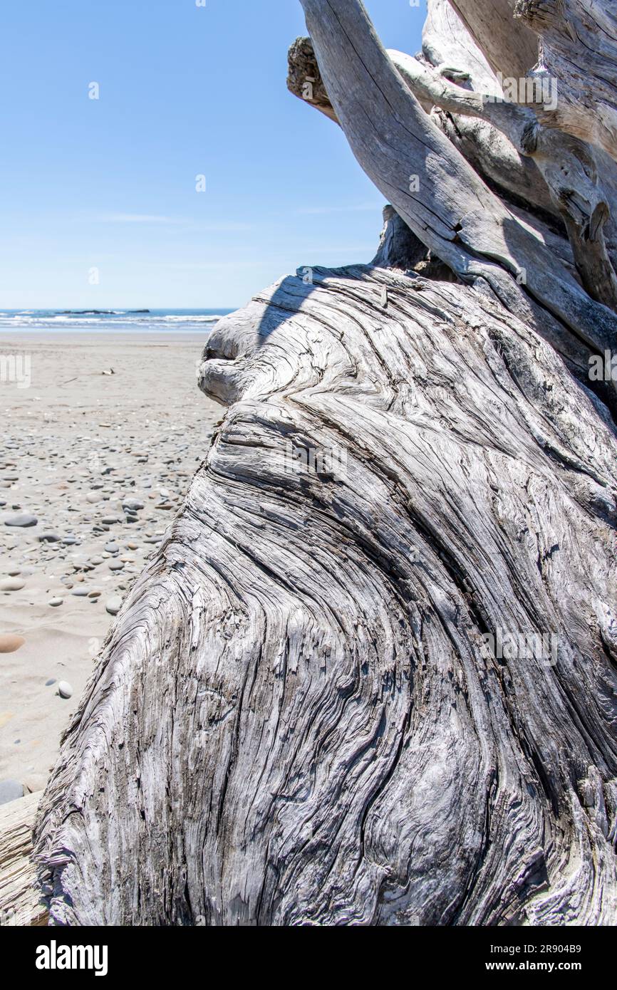 Close up view of large piece of driftwood with pattern, layers and ...