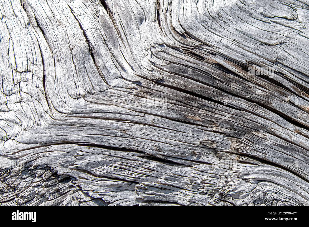 Image filling view of grey driftwood washed on shore with pattern ...
