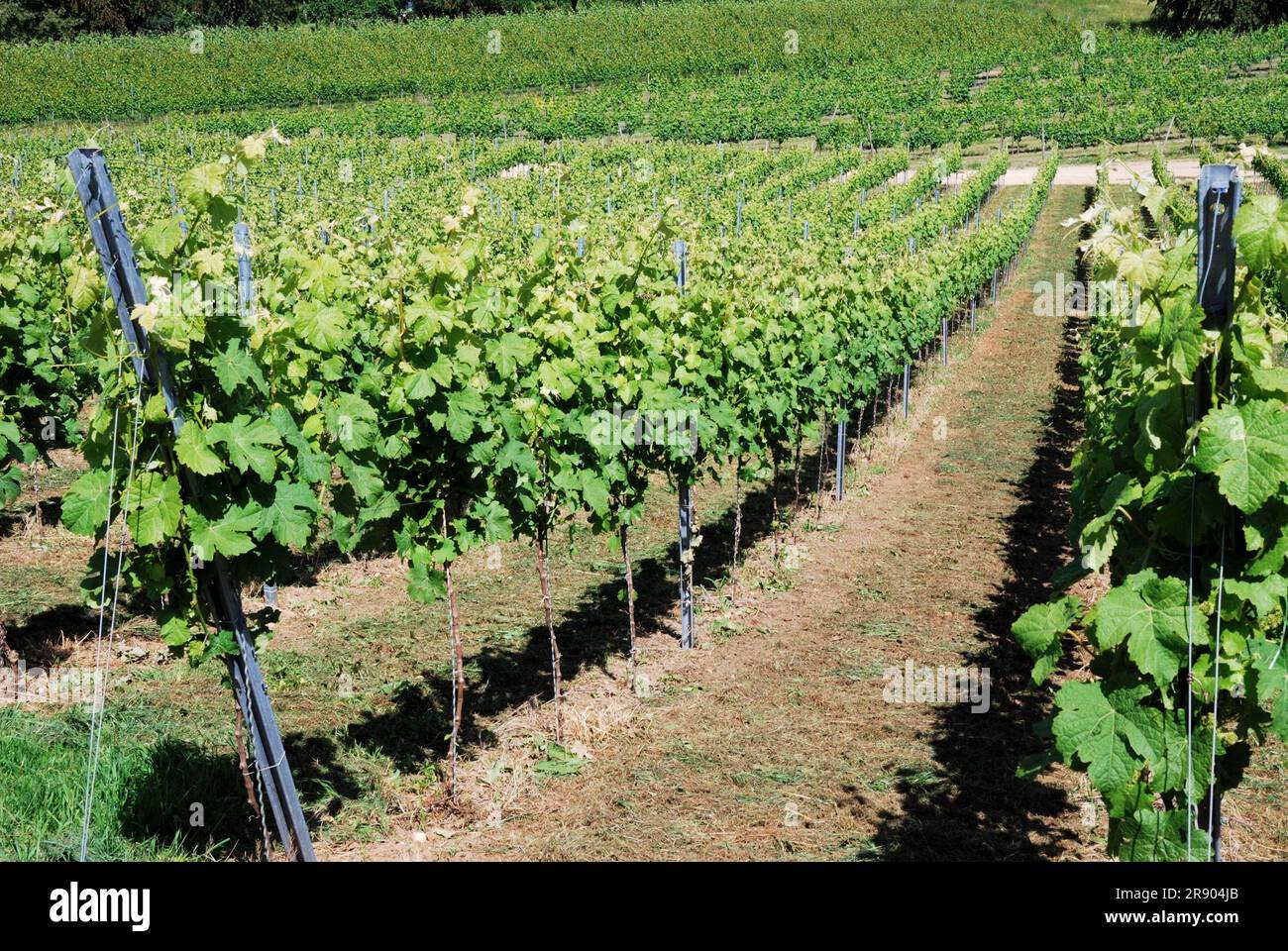 Southern germnay hi-res stock photography and images - Alamy