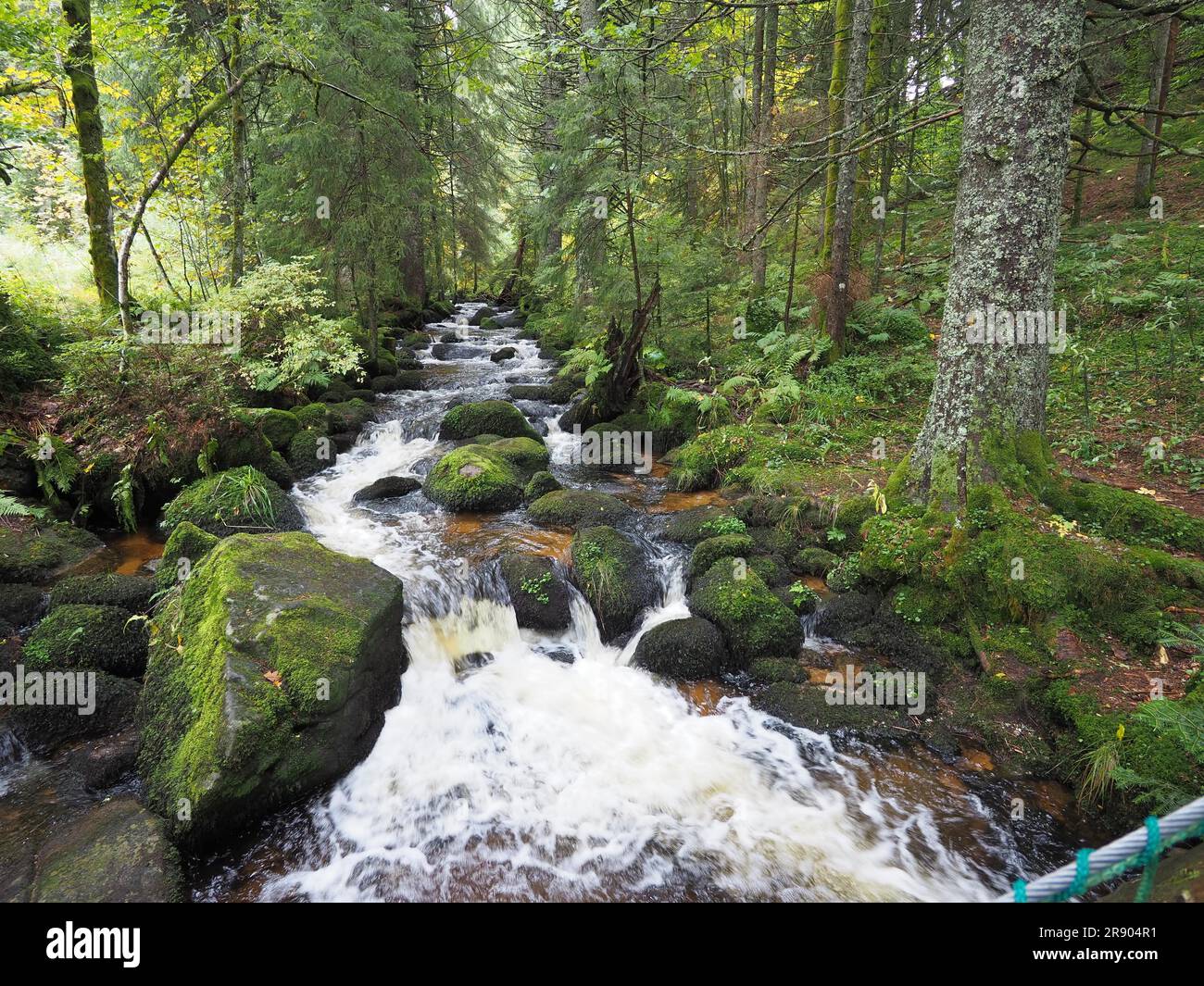 The Elz is a right-bank tributary of the Rhine in the Black Forest. The ...