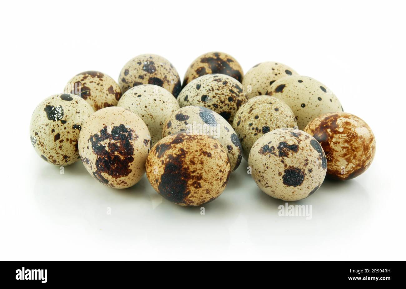Group of Raw Quail Eggs Isolated on White Background Stock Photo - Alamy