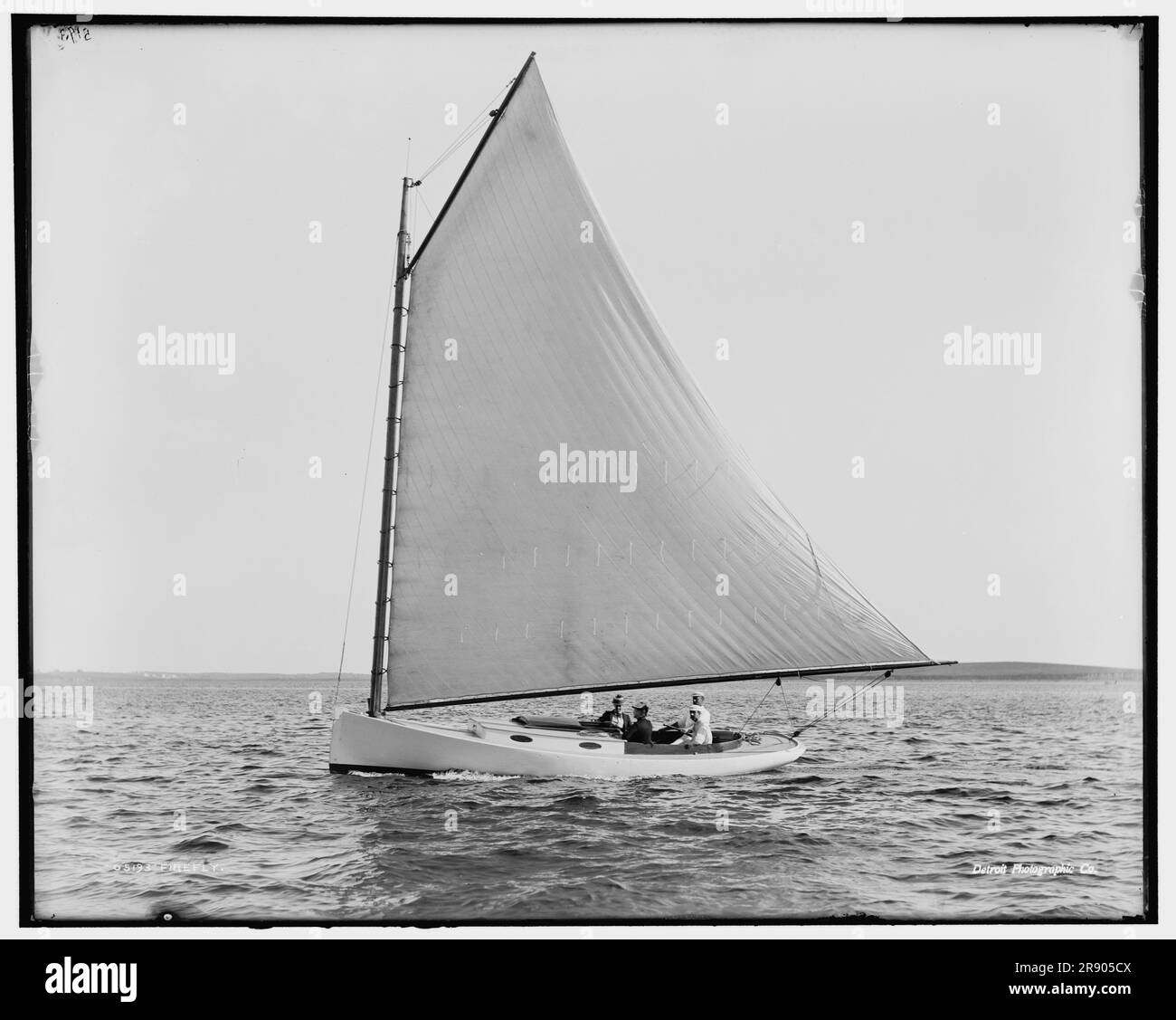 Firefly, between 1880 and 1899 Stock Photo - Alamy