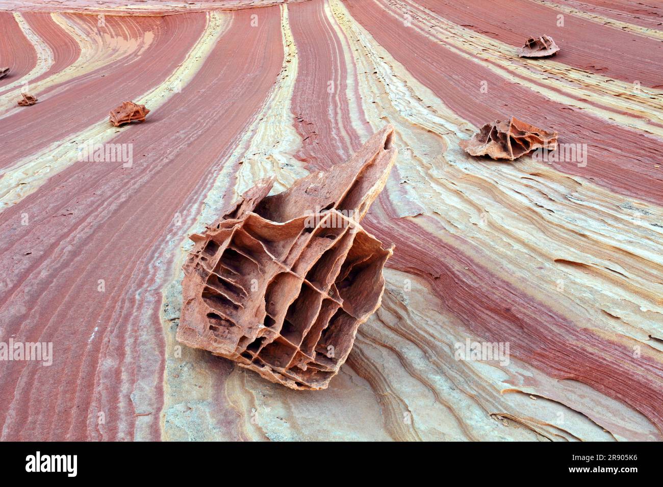 Boneyard, Skeletal Stones, Coyote Butte North, Vermillion Cliffs ...