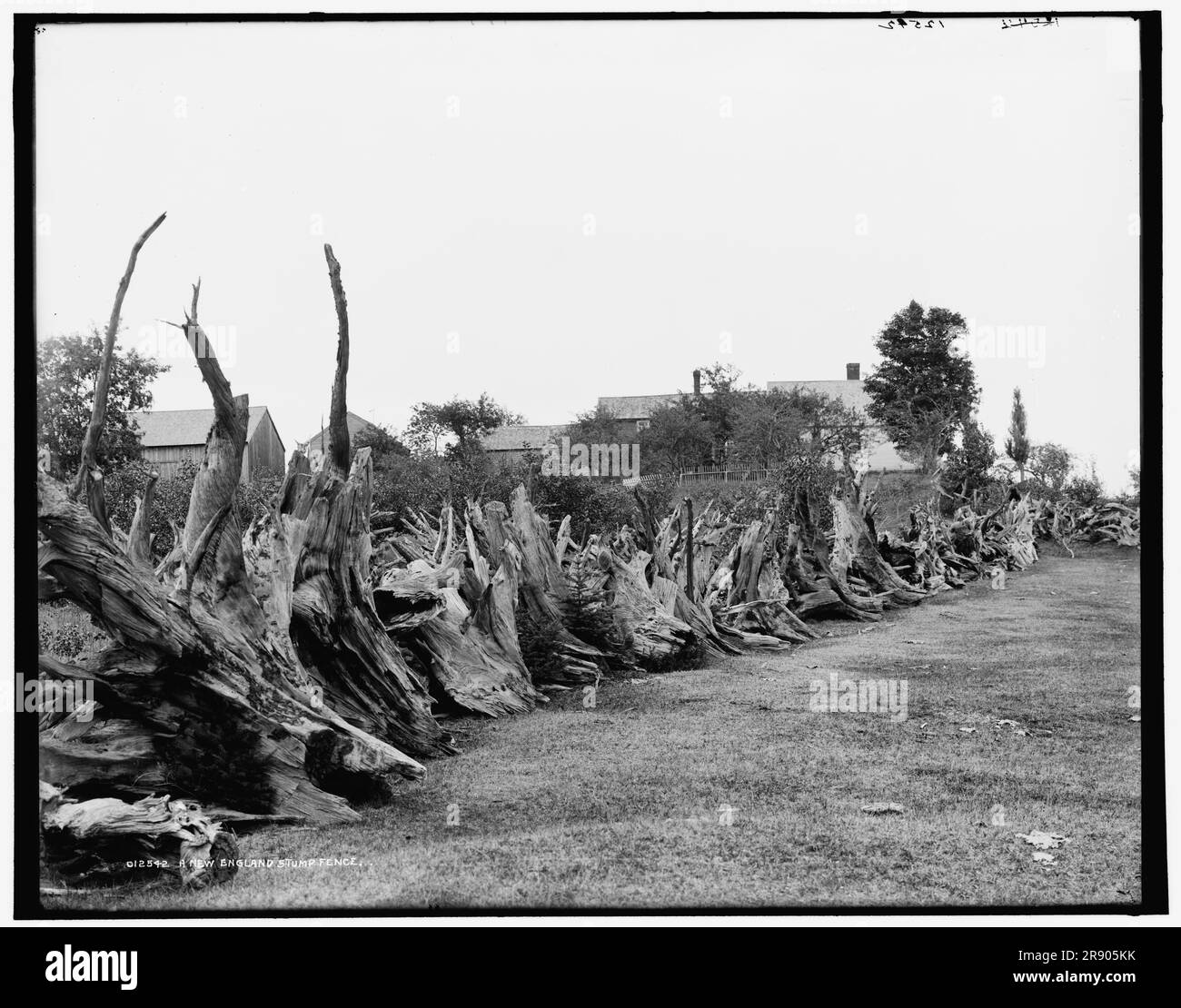 X fence Black and White Stock Photos & Images - Alamy