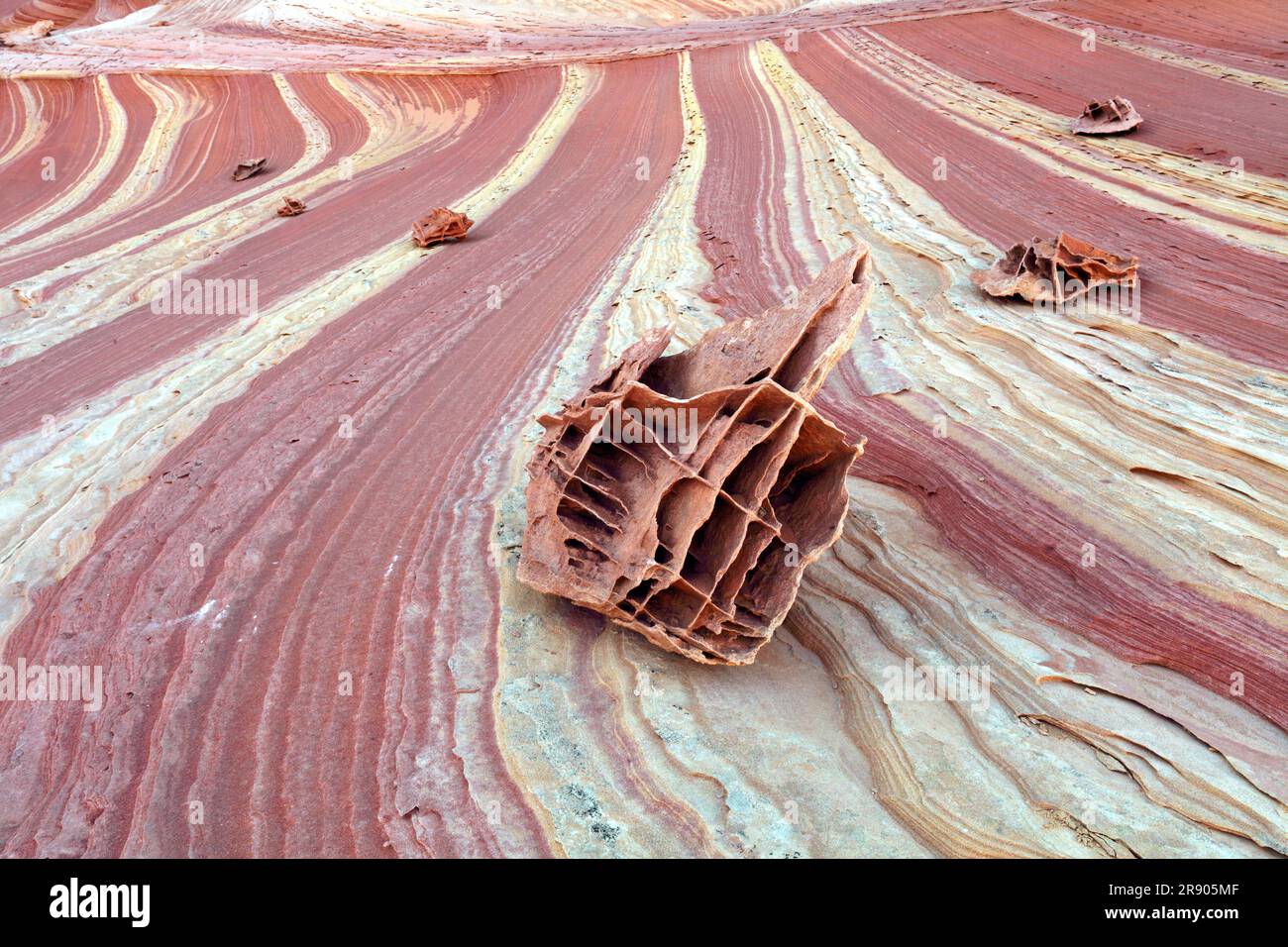 Boneyard, Skeletal Stones, Coyote Butte North, Vermillion Cliffs ...