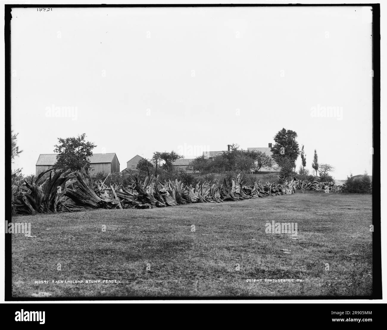 A New England stump fence, between 1890 and 1901 Stock Photo - Alamy