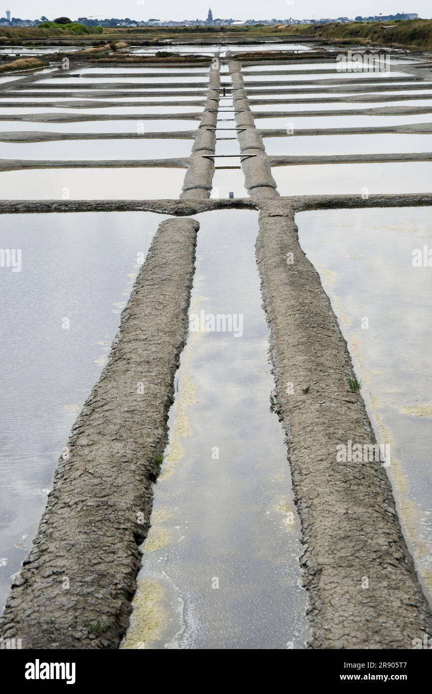 Ramsar convention hi-res stock photography and images - Alamy