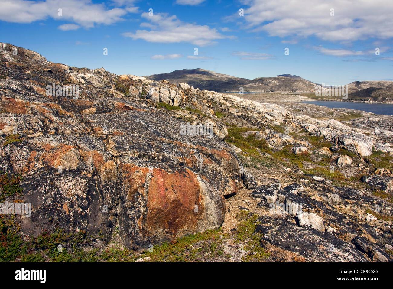 Dog breed canada hi-res stock photography and images - Alamy