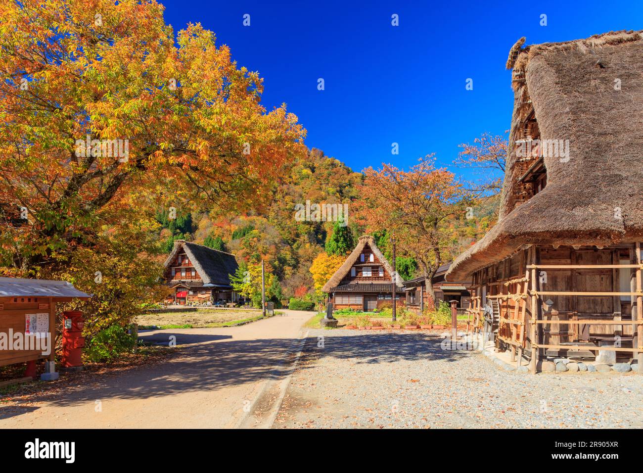 Suganuma Gassho-Zukuri Village in autumn leaves Stock Photo - Alamy